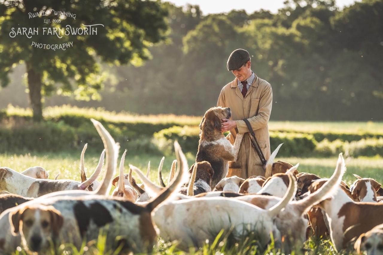 Events – The Ludlow Hunt